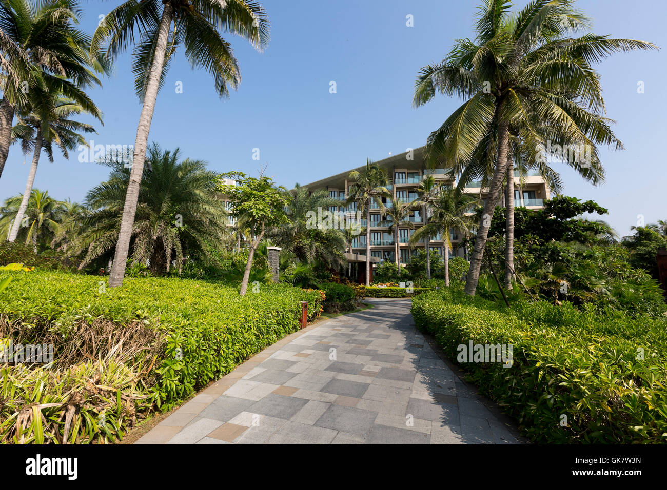 Green open-air restaurant near the pool lighting at night Stock Photo ...