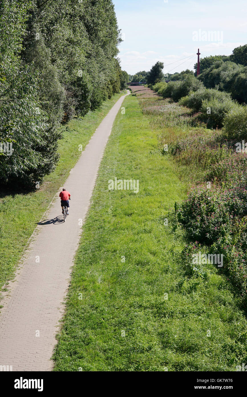 unrecognizable cyclist cycling on bicycle path in nature Stock Photo ...