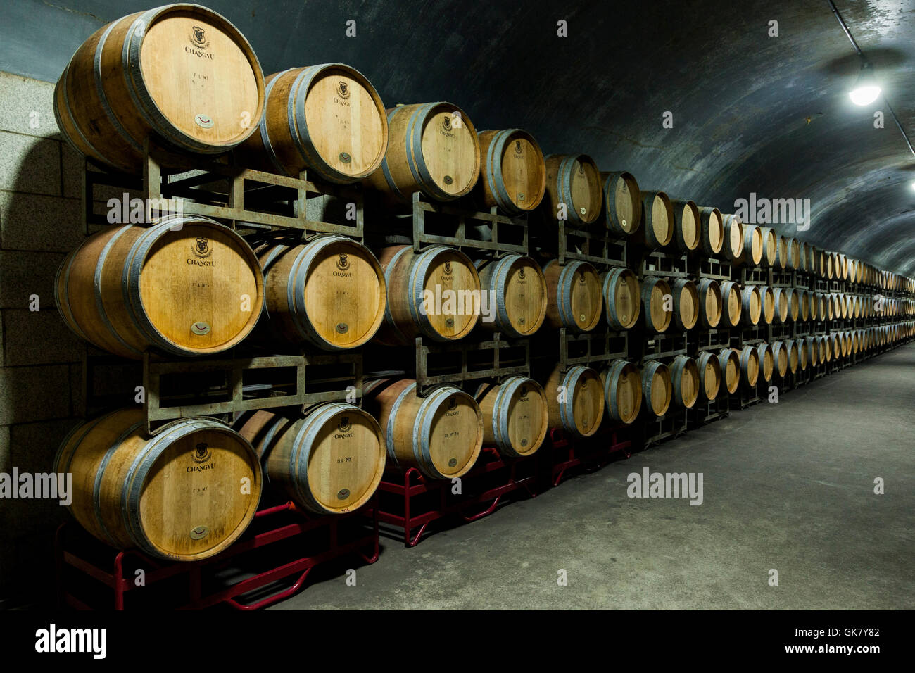 Old traditional large barrel cellar Stock Photo - Alamy