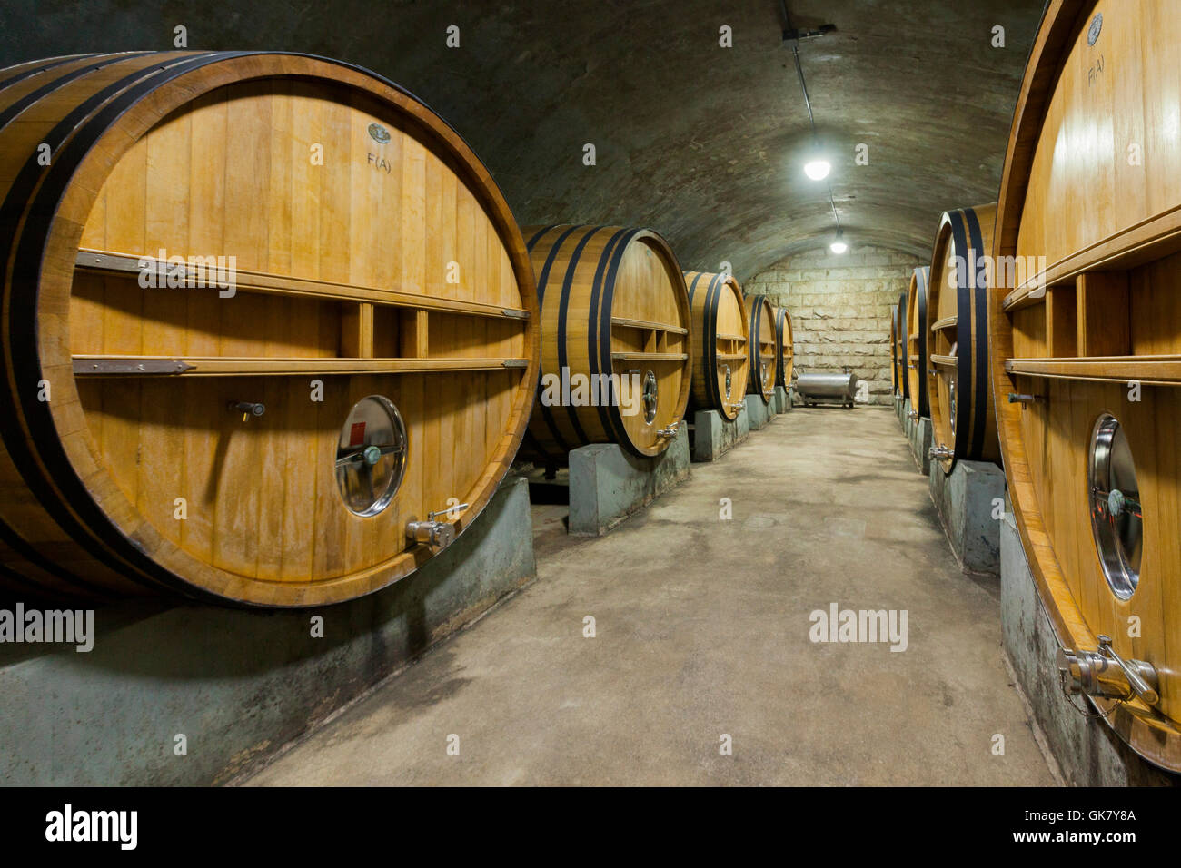 Old traditional large barrel cellar Stock Photo - Alamy