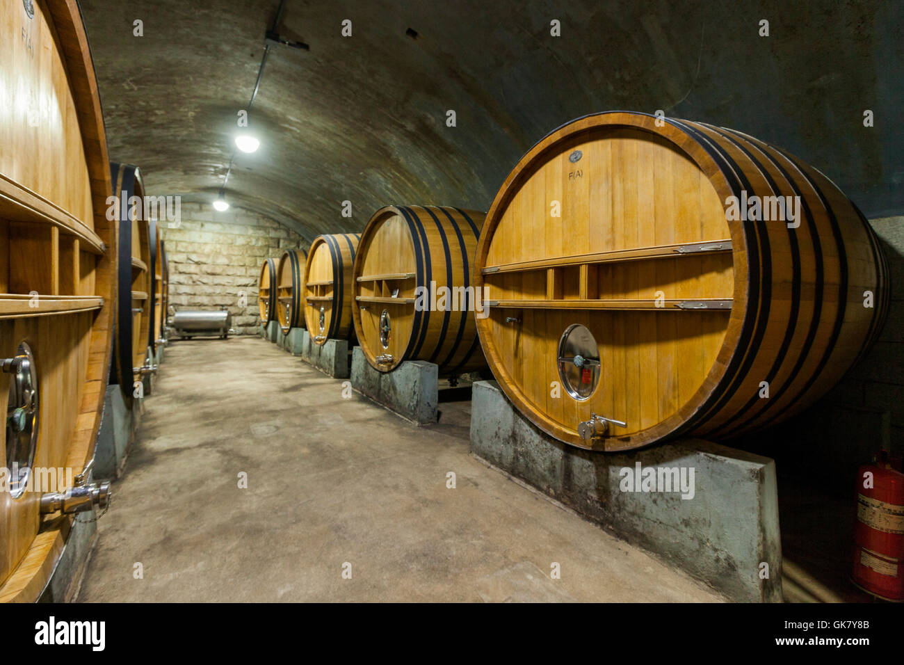 Old traditional large barrel cellar Stock Photo - Alamy