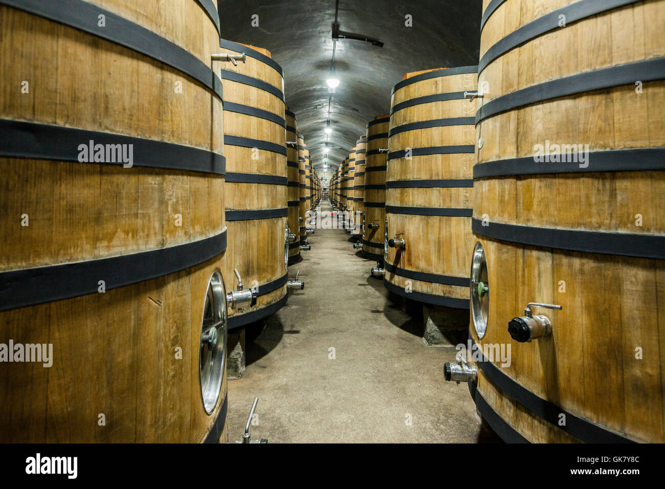 Old traditional large barrel cellar Stock Photo - Alamy