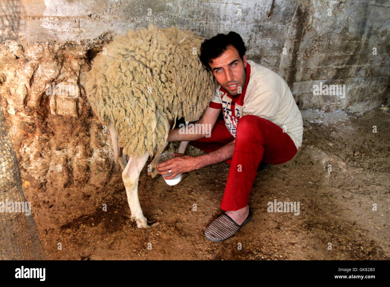 Nablus, Palestine. 18th Aug, 2016. Palestinian blind man Rami Abu Ras ...