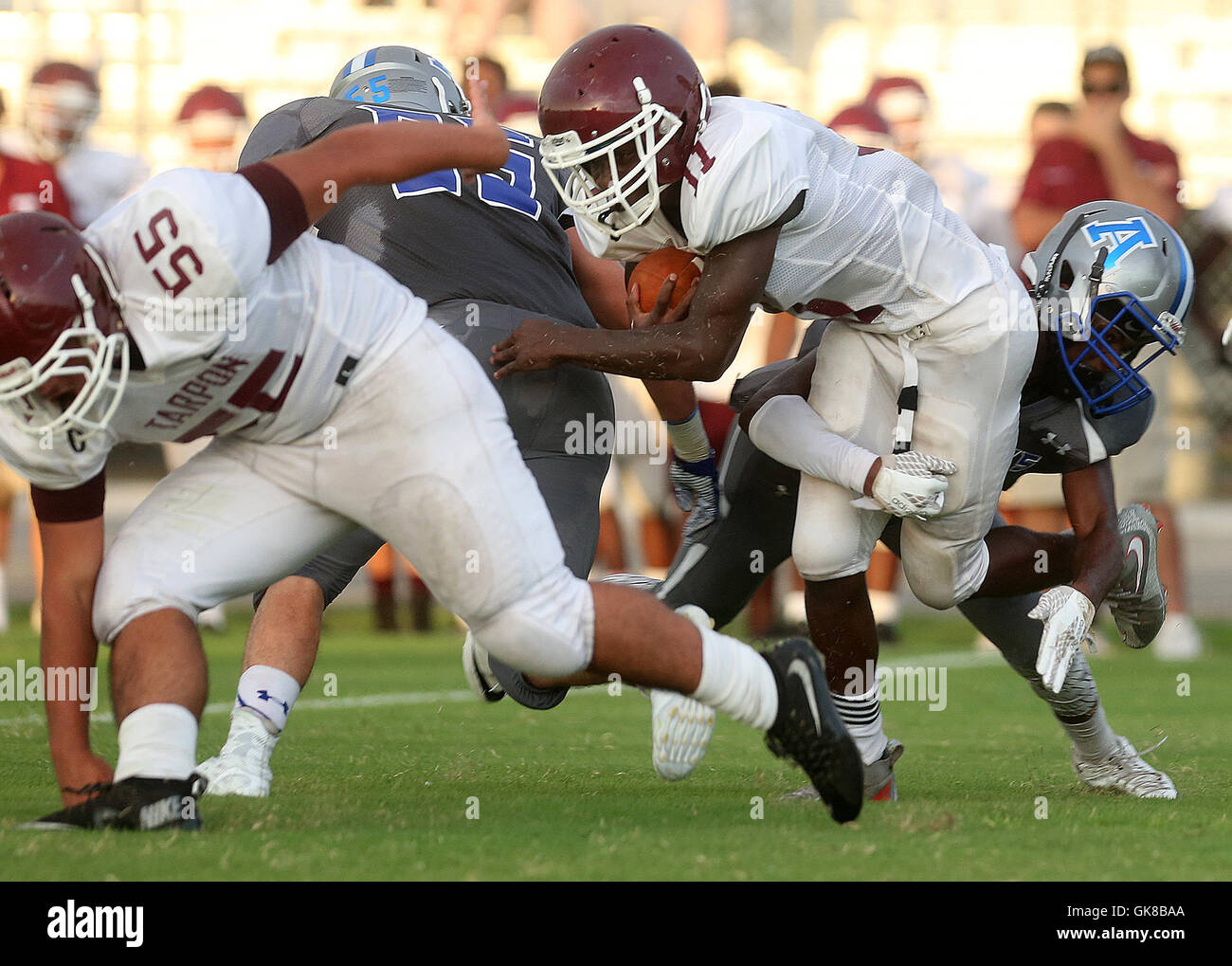 City, Florida, USA. 19th Aug, 2016. OCTAVIO JONES | Times .Tarpon ...