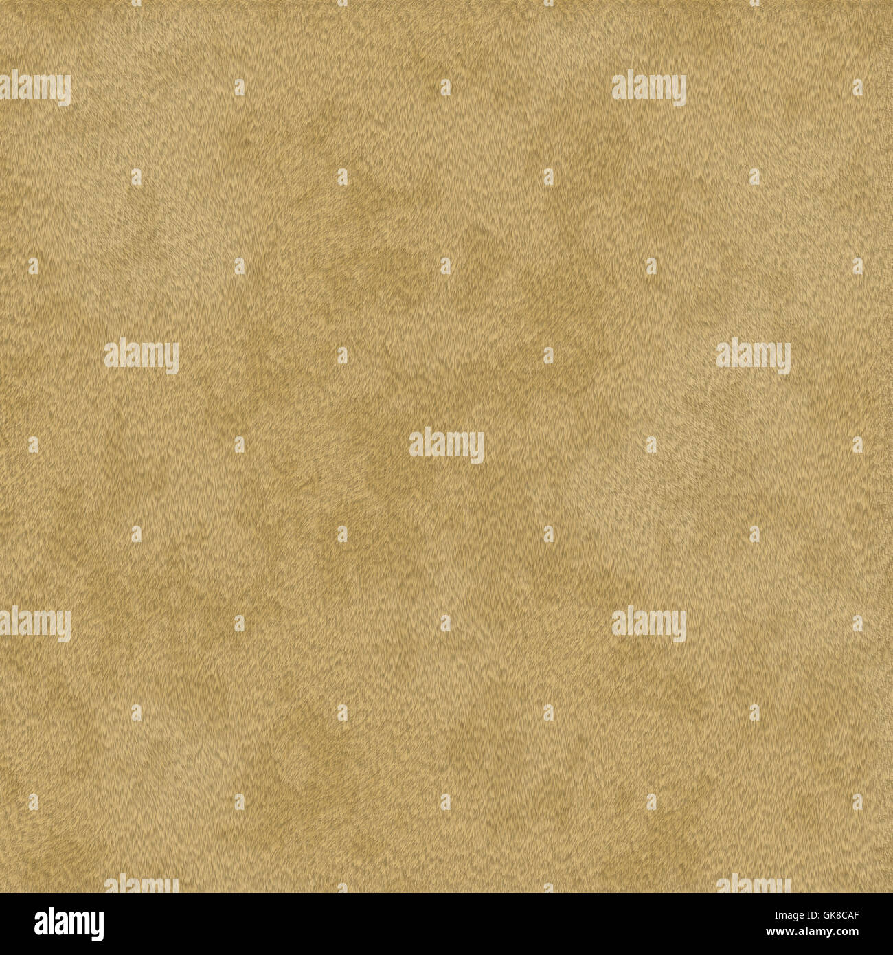 Animal cells microscope hi-res stock photography and images - Alamy