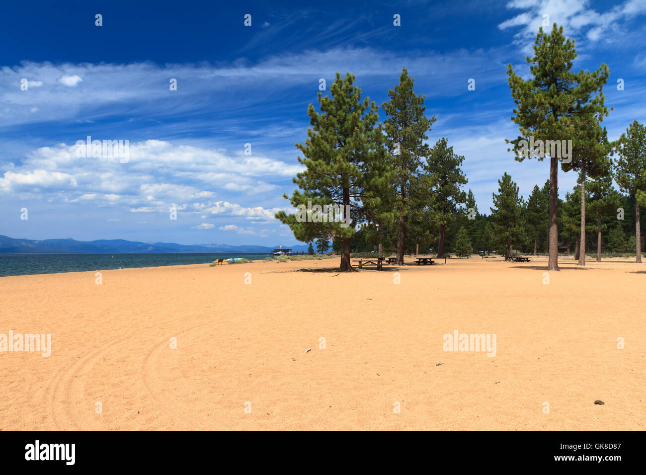 Beach tree hi-res stock photography and images - Alamy