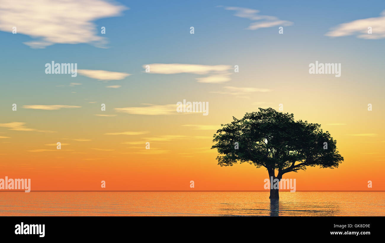 Tree growing from water Stock Photo - Alamy