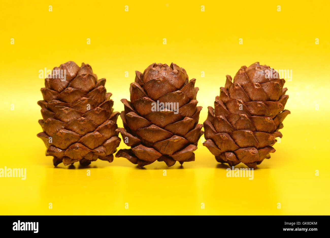 Fur tree fruit hi-res stock photography and images - Alamy