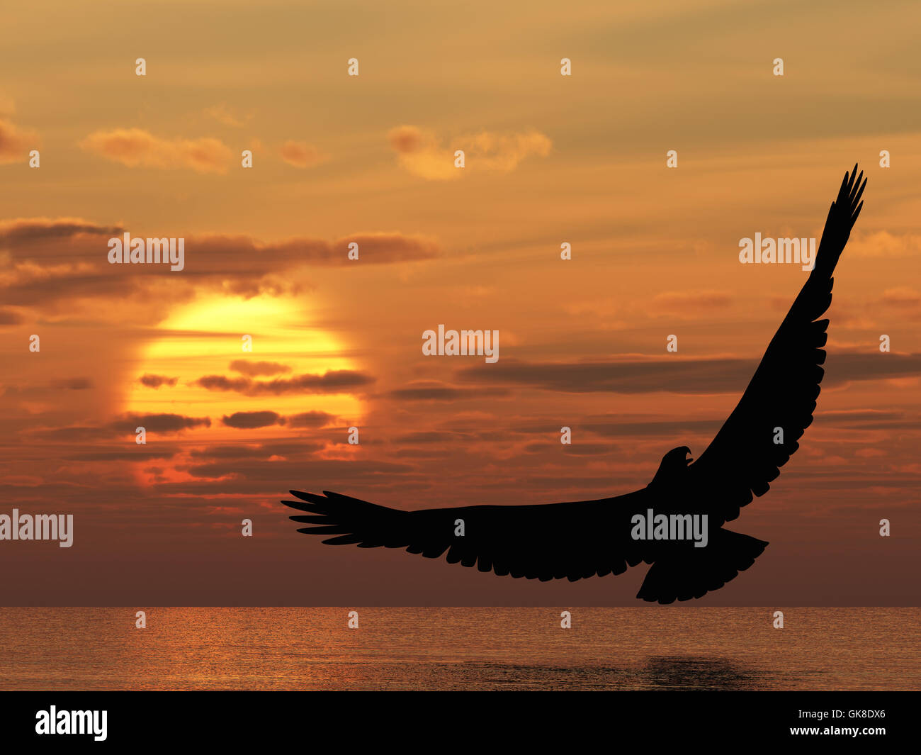 Eagle above ocean Stock Photo - Alamy