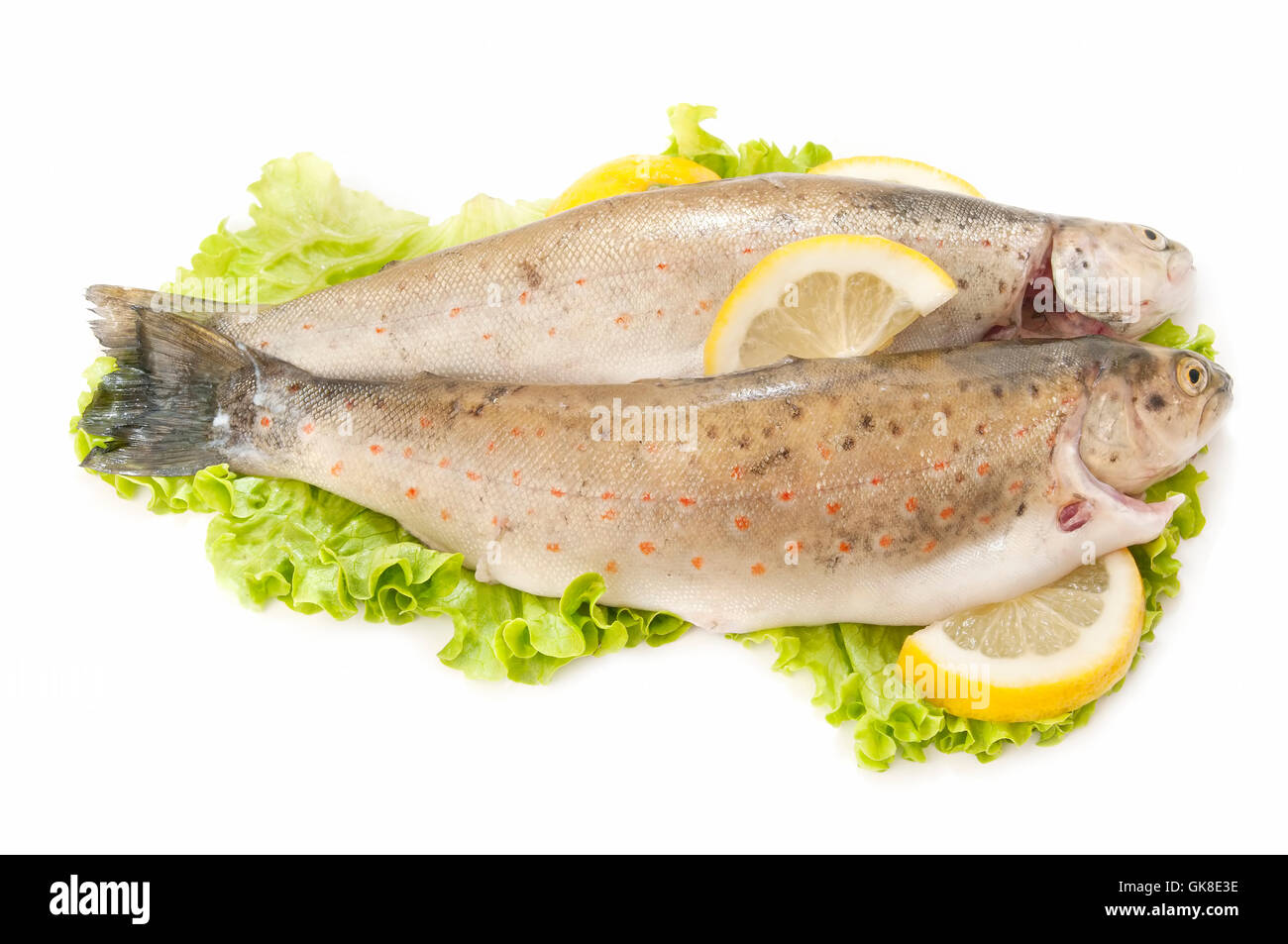 health angle fish Stock Photo - Alamy