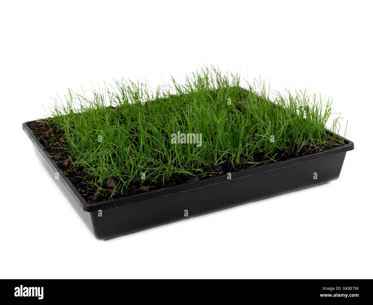 Abstract natural backgrounds grass Cut Out Stock Images & Pictures - Alamy