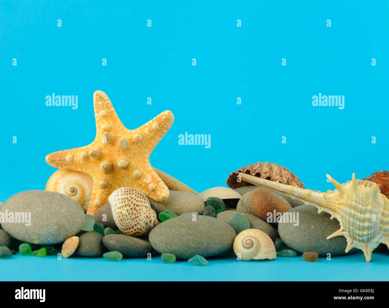 Starfish and set of objects of the sea underwater world Stock Photo - Alamy