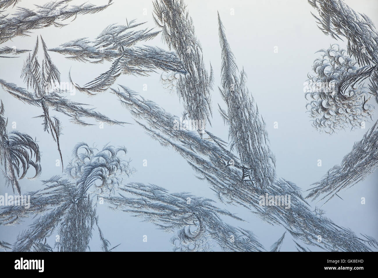 ice-flowers / frost pattern / tracery on frosted window Stock Photo - Alamy