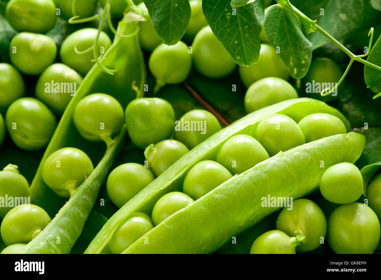 Coal pod hi-res stock photography and images - Alamy