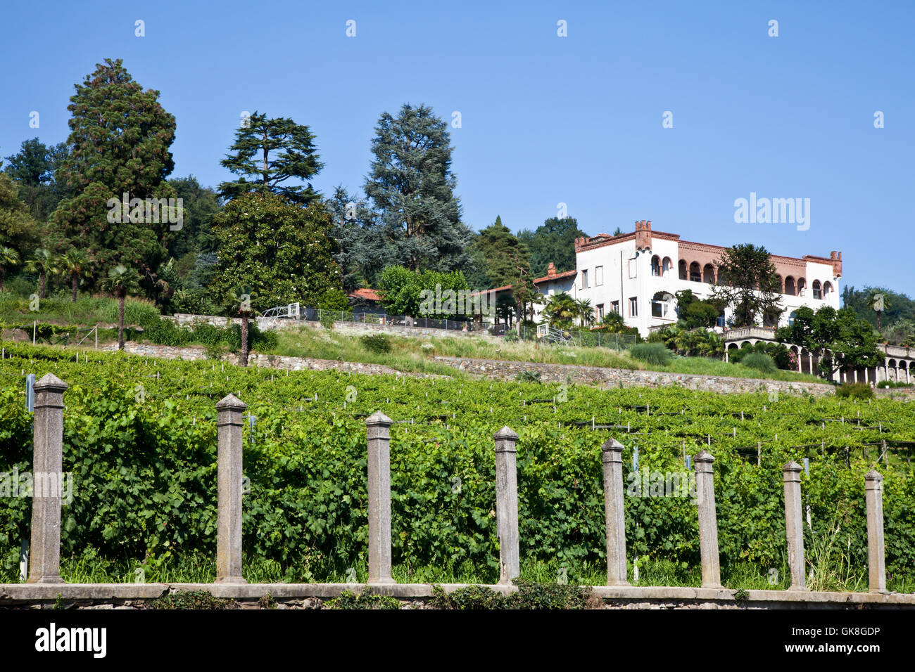 house building tree Stock Photo - Alamy