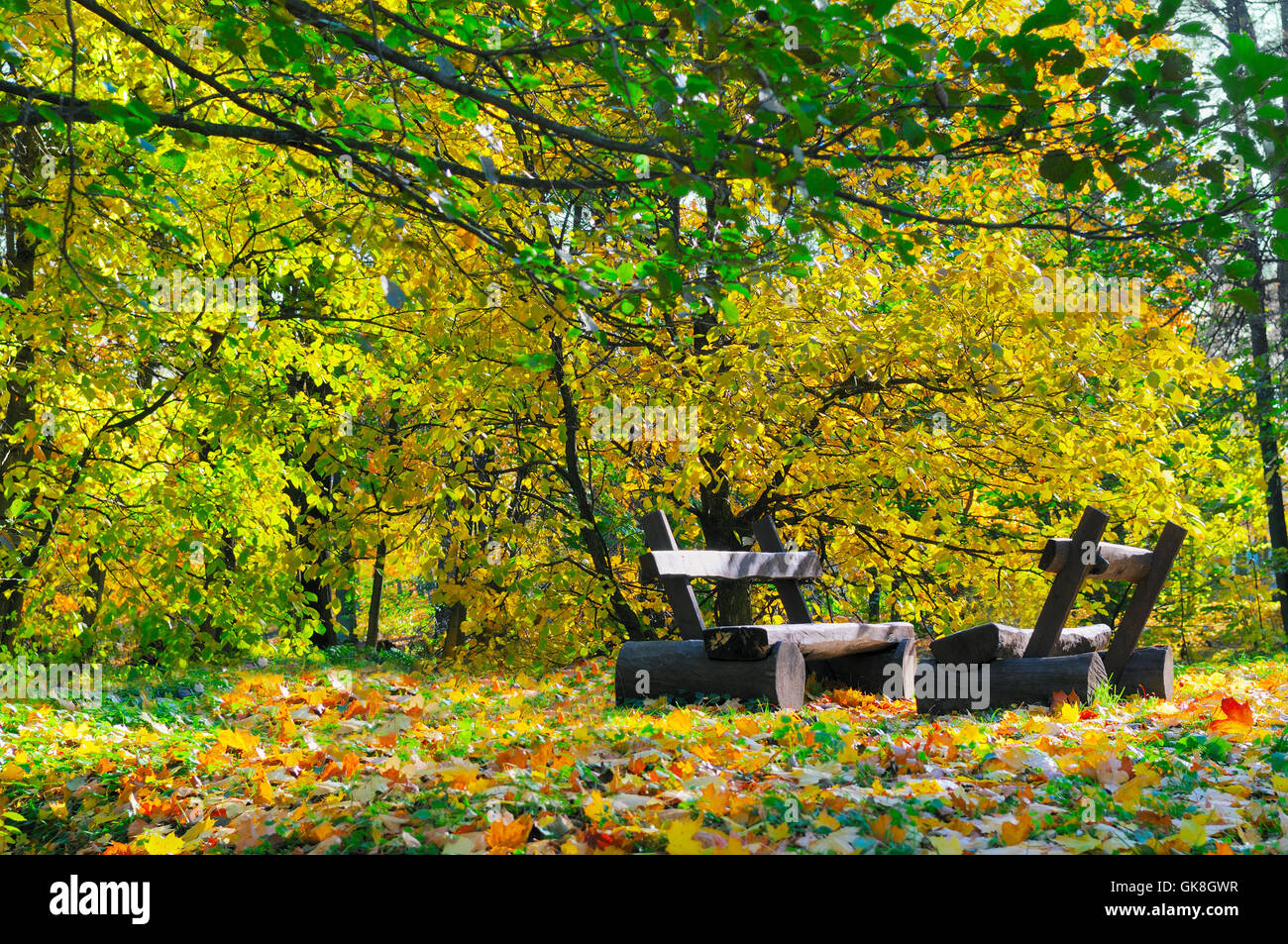 leaf colour tree Stock Photo - Alamy