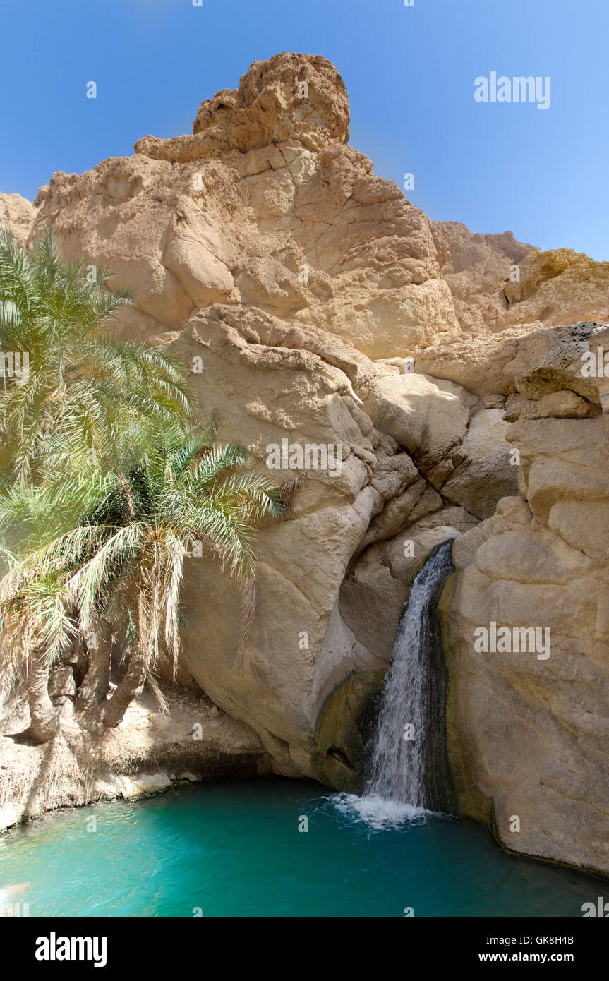 Culture and trees hi-res stock photography and images - Alamy