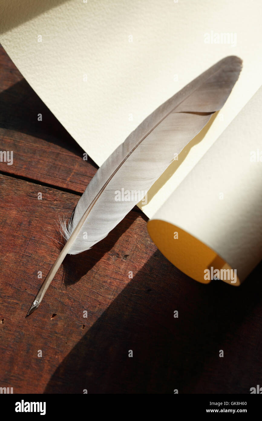Feather quill hi-res stock photography and images - Alamy