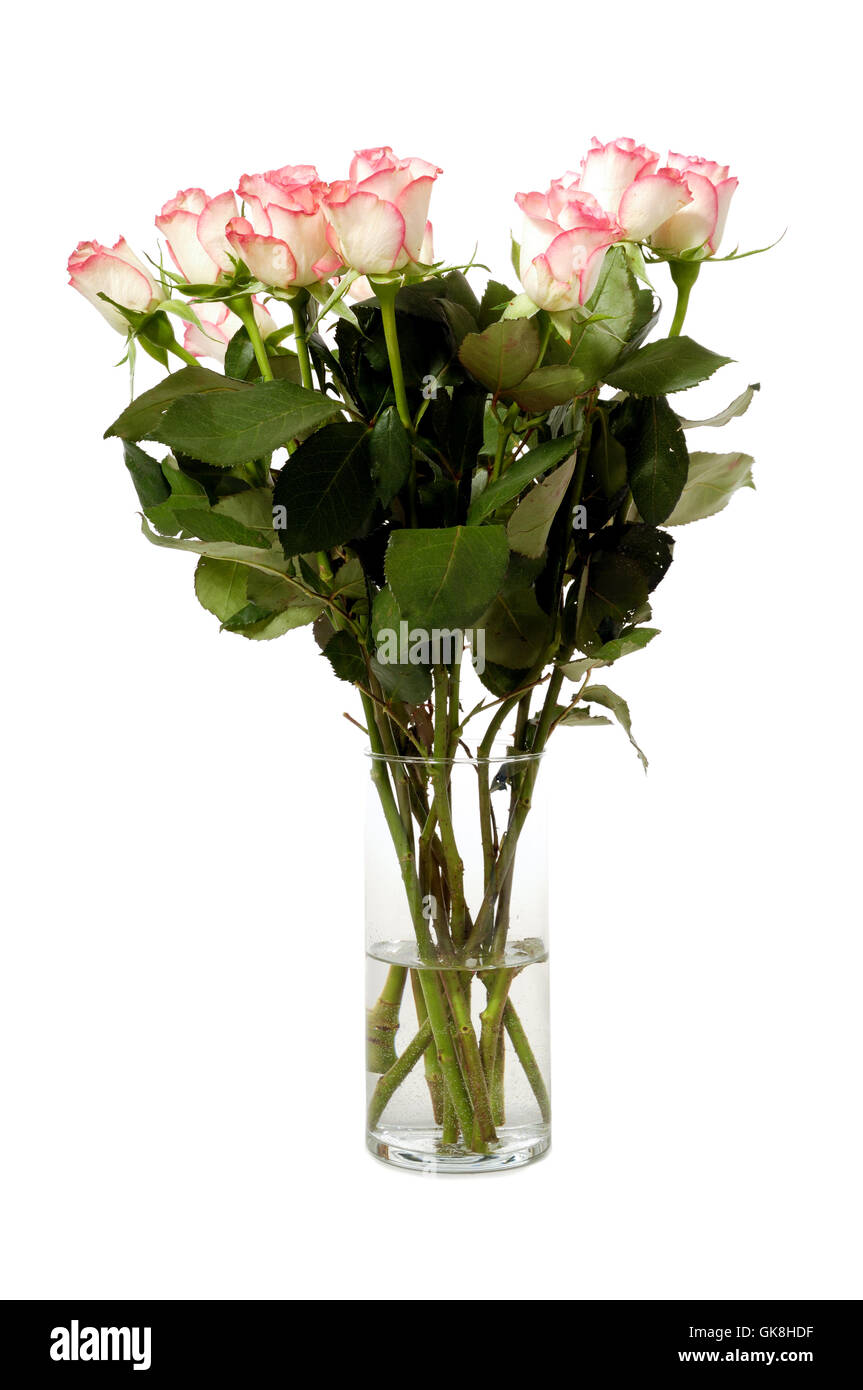 Single rose and vase Cut Out Stock Images & Pictures - Alamy