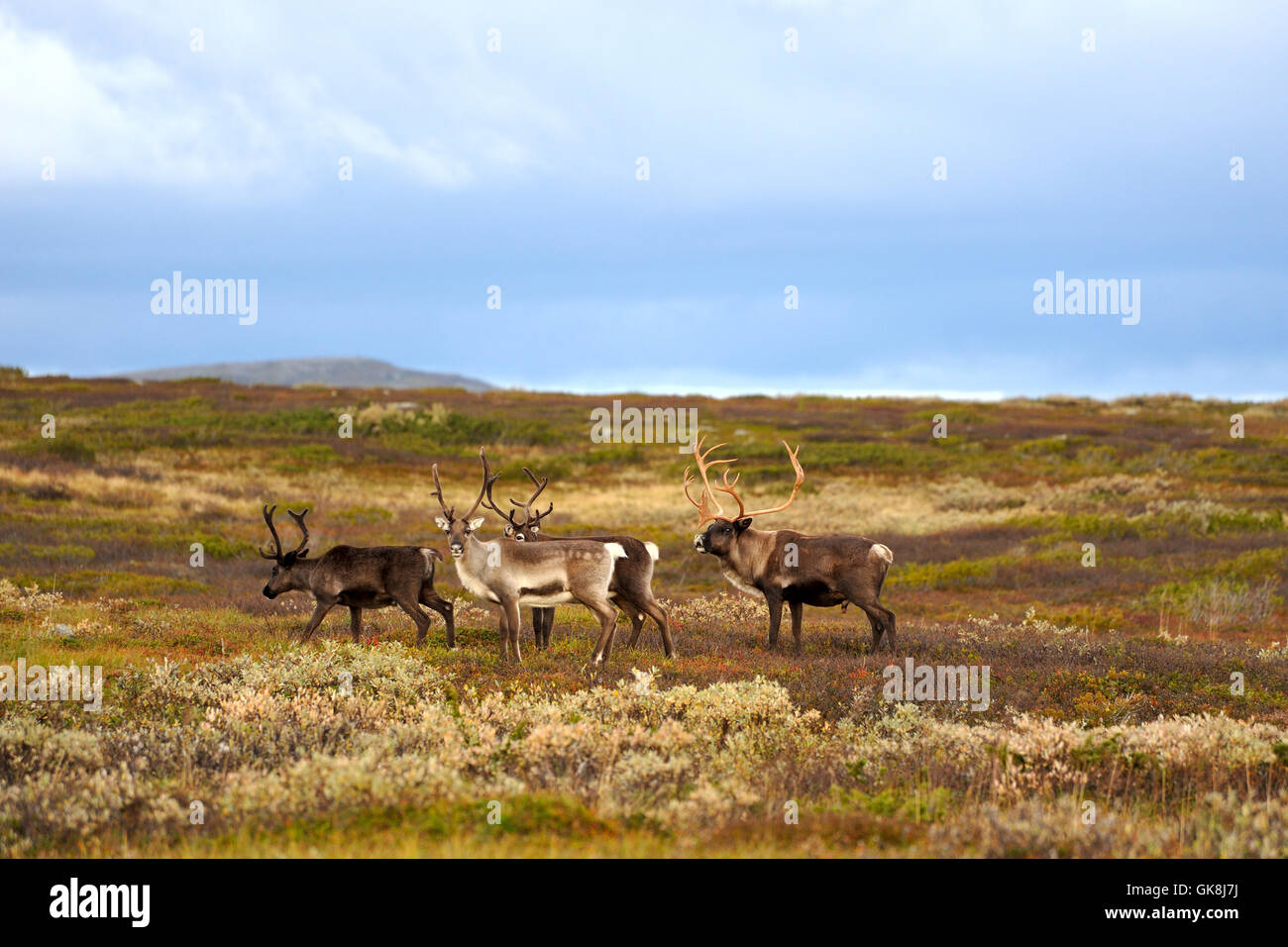Farben hart hi-res stock photography and images - Alamy