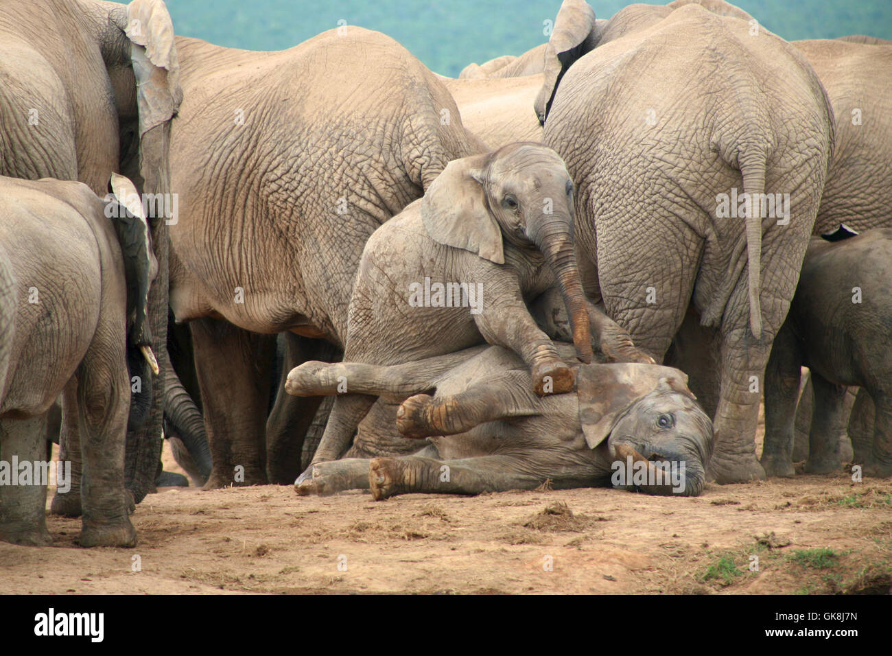 big large enormous Stock Photo - Alamy