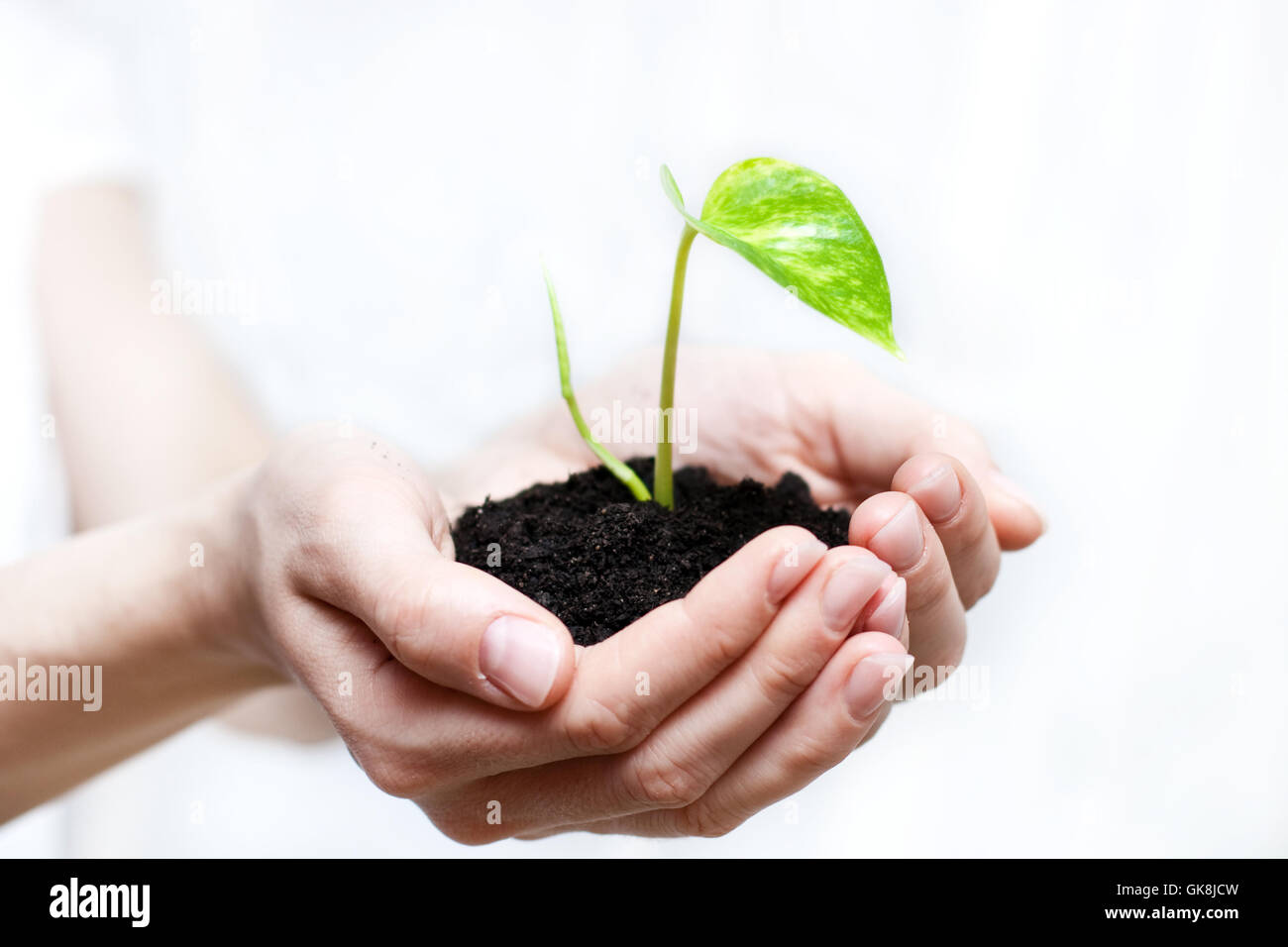 agriculture farming growth Stock Photo - Alamy