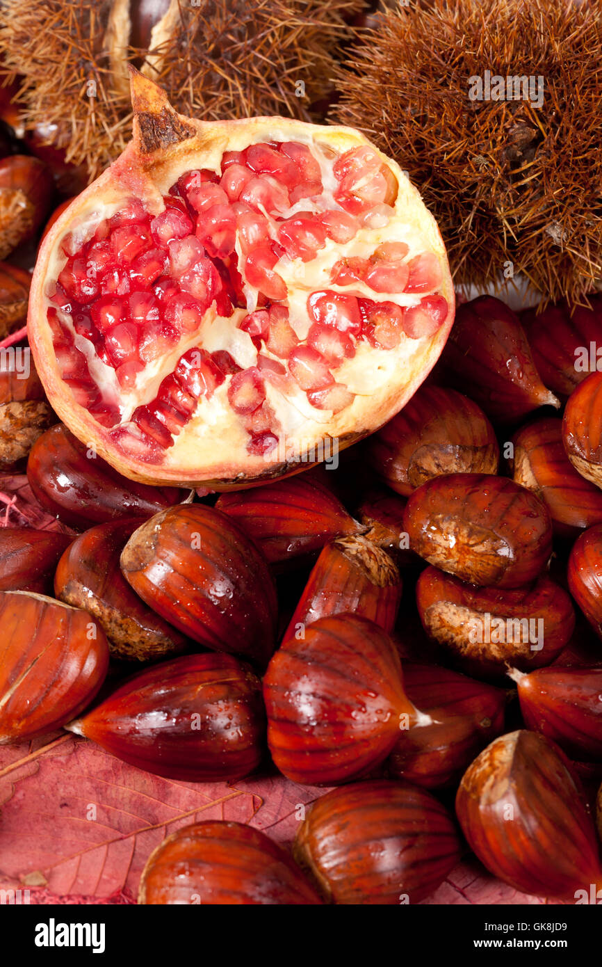 Brownish red fruit hi-res stock photography and images - Alamy