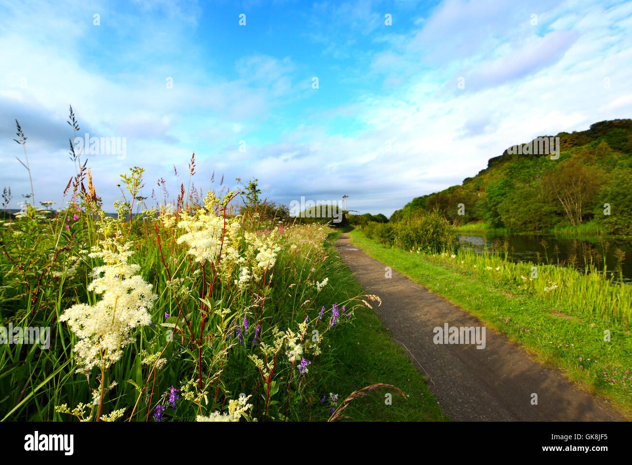 blue walk go Stock Photo - Alamy