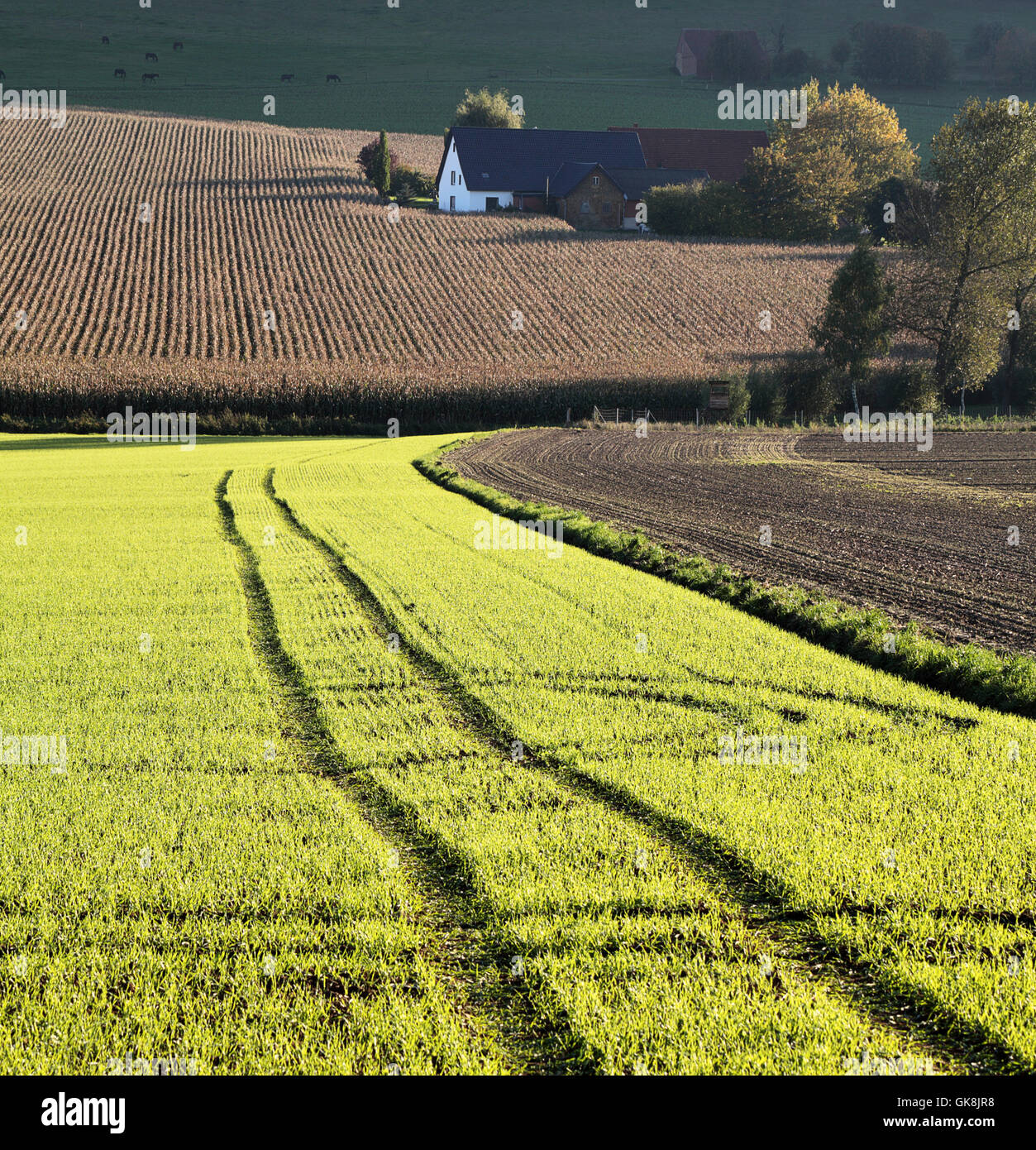 field acre track Stock Photo - Alamy