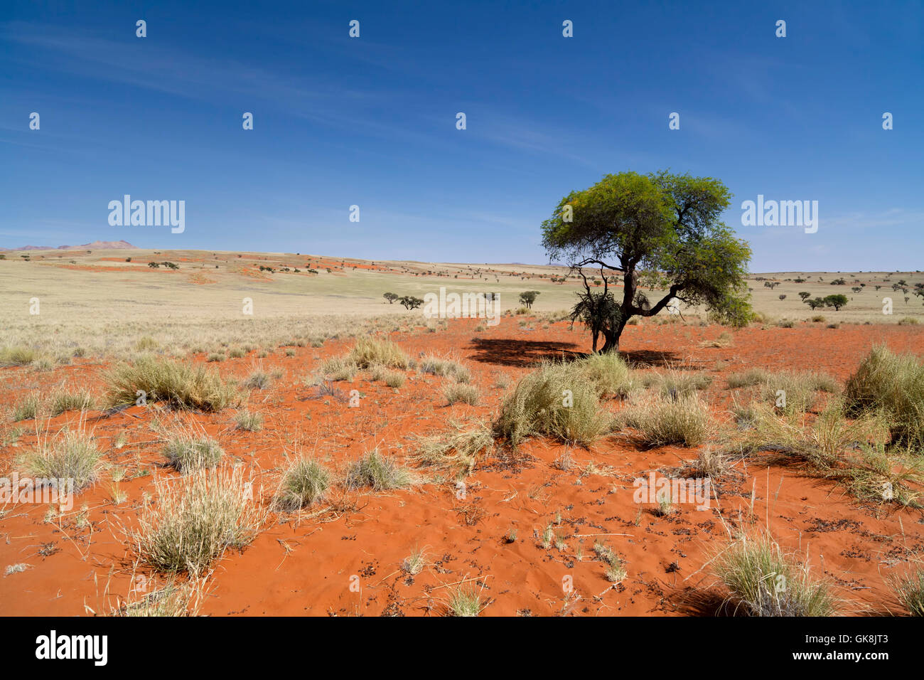 desert wasteland africa Stock Photo - Alamy