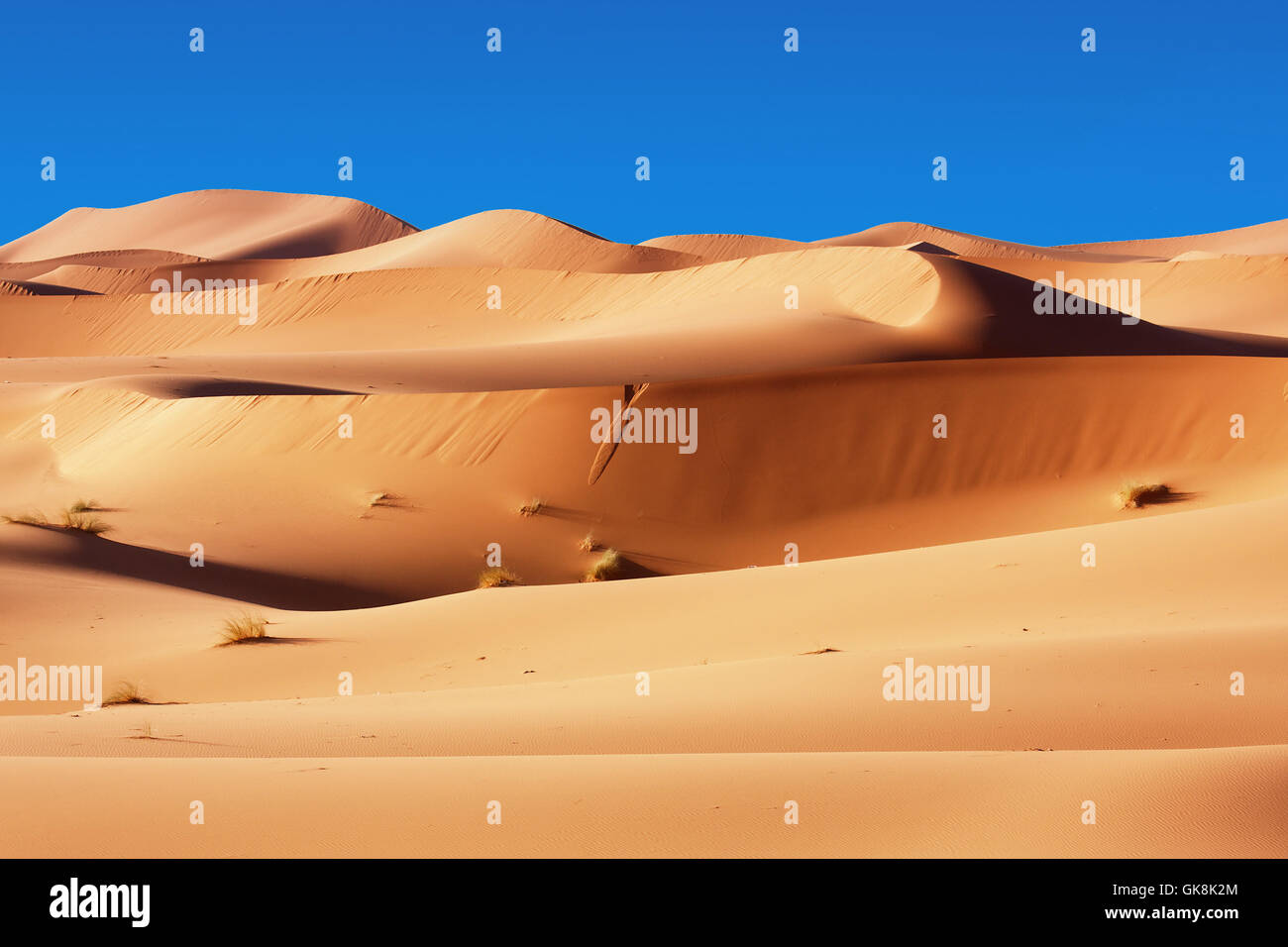 desert wasteland africa Stock Photo - Alamy