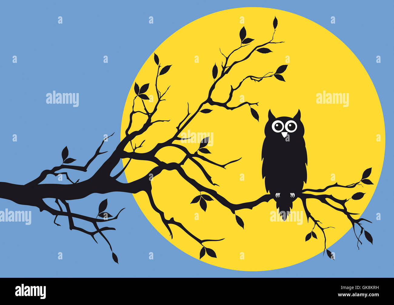 Nighttime bird hi-res stock photography and images - Alamy