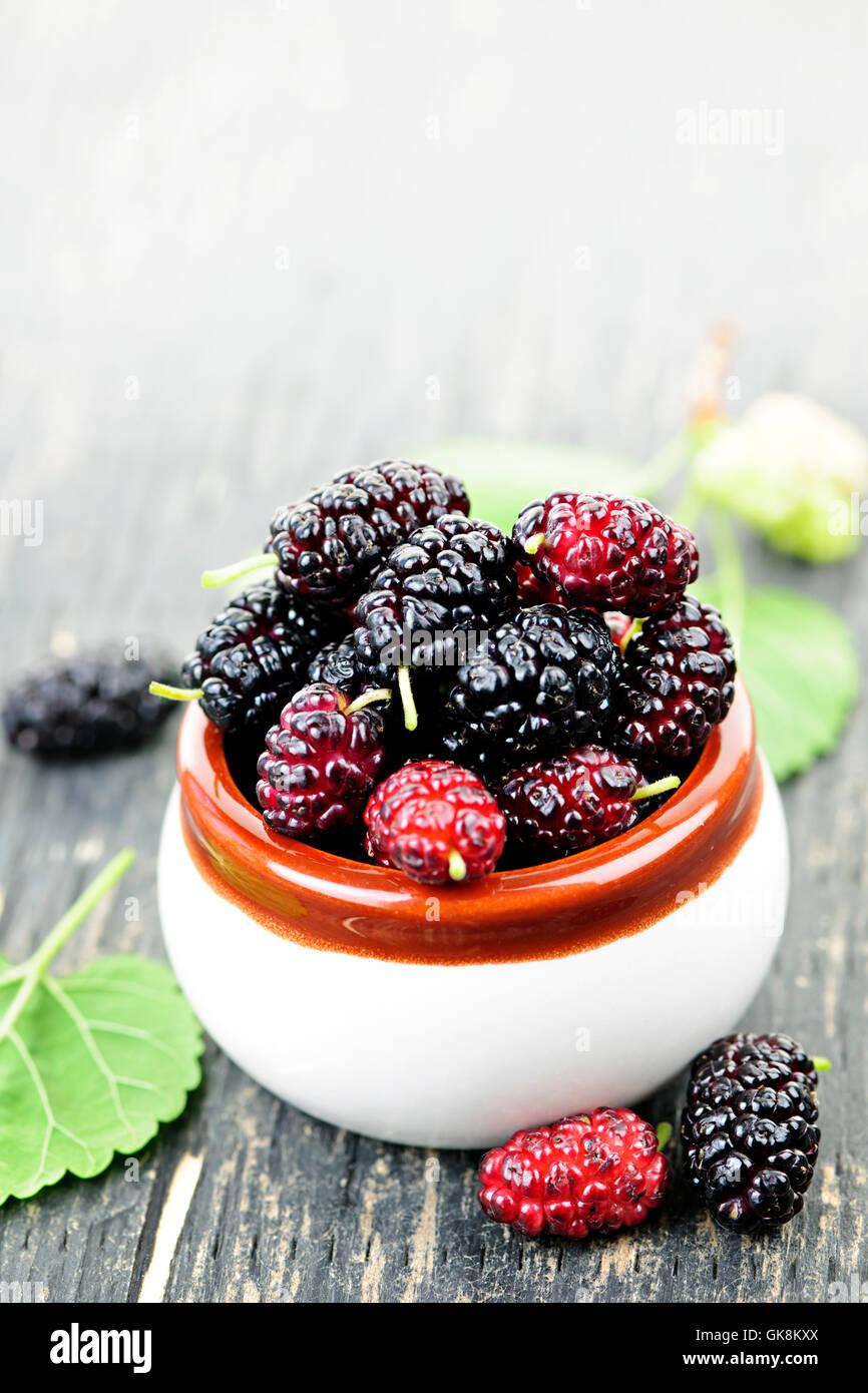 leaf fruit berries Stock Photo - Alamy