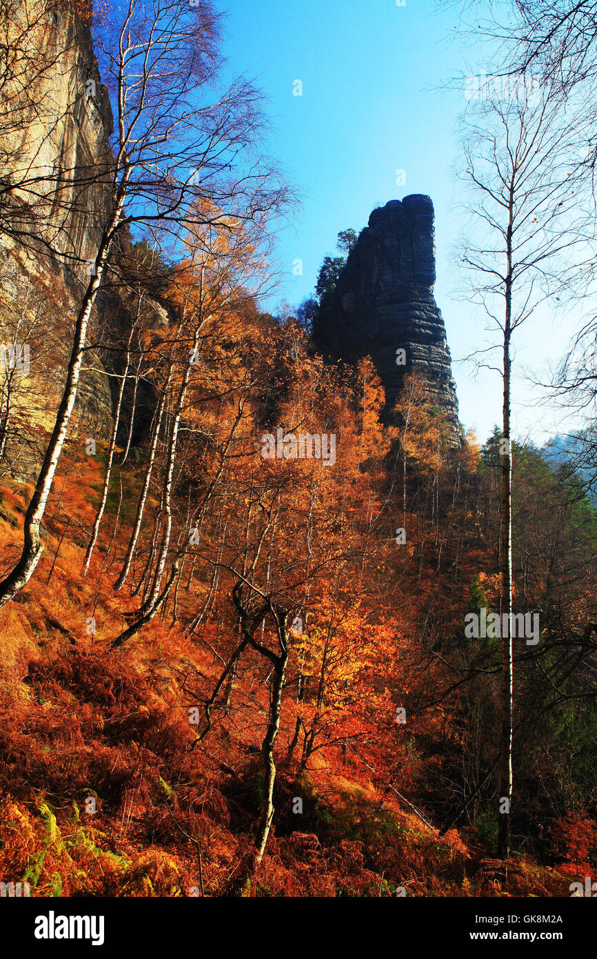 stone rock deciduous forest Stock Photo - Alamy