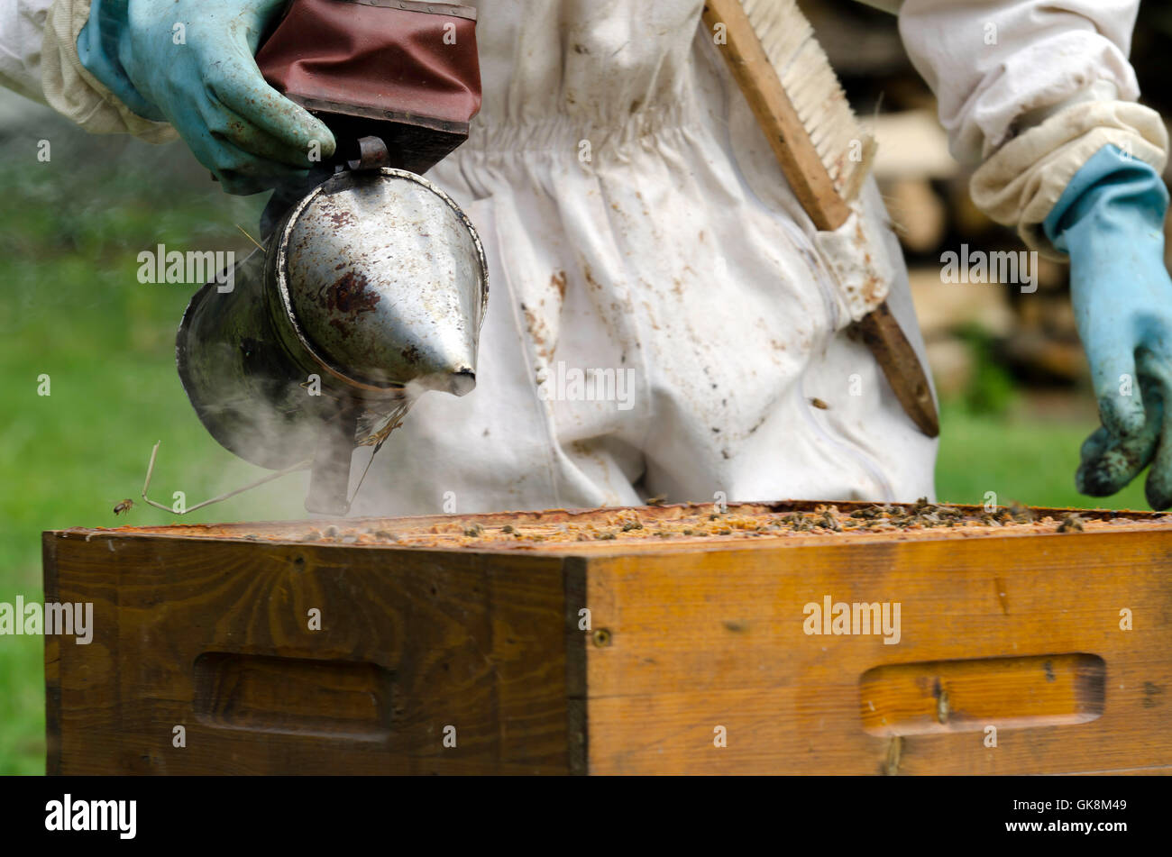 The apiary school hi-res stock photography and images - Alamy