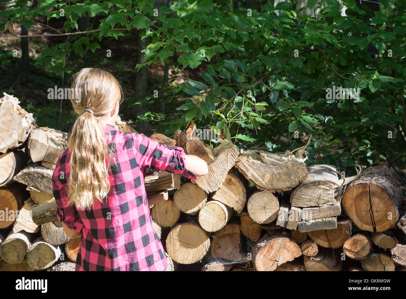 Young girl with firewood logs Stock Photo - Alamy