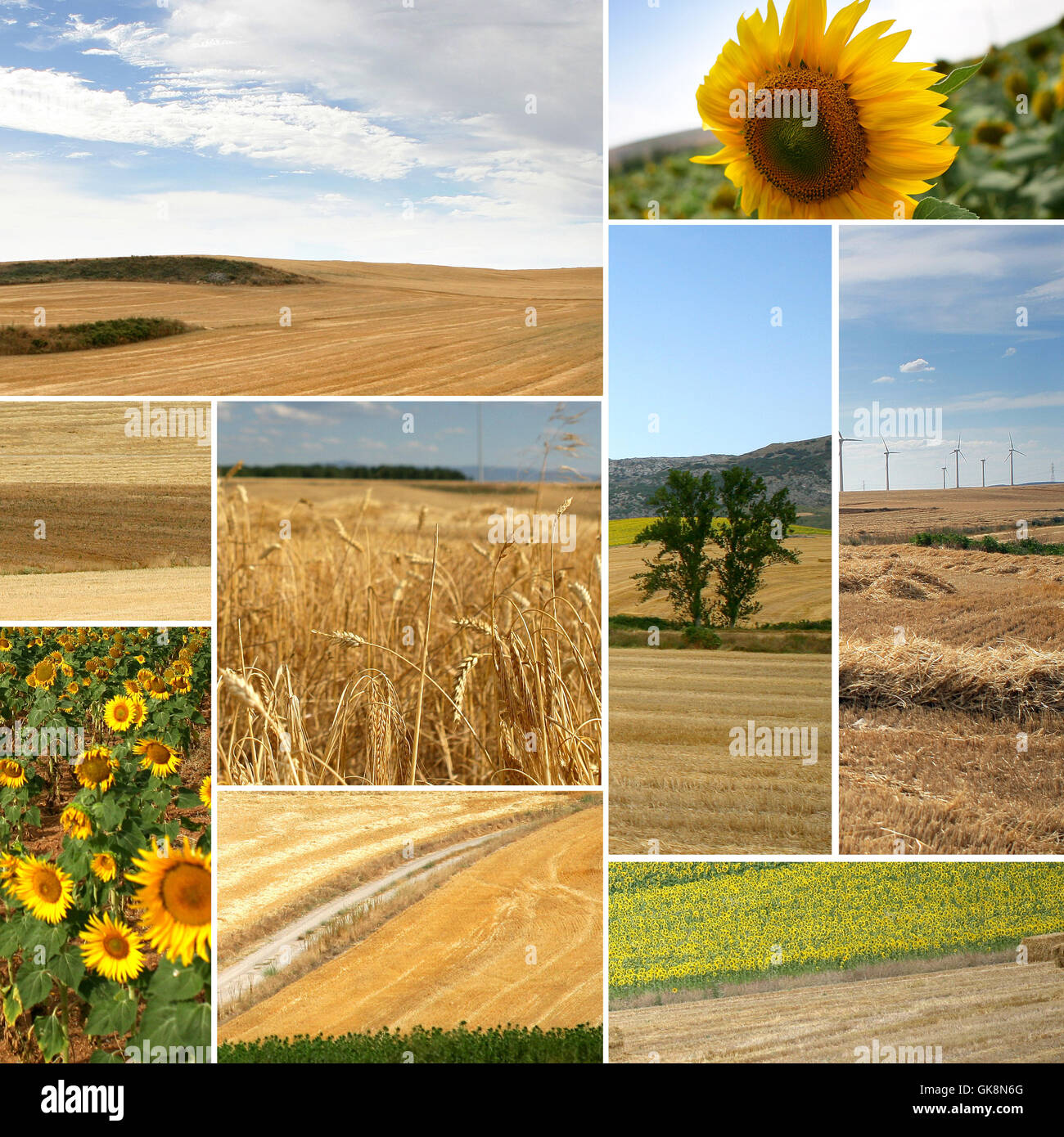 closeup agriculture farming Stock Photo - Alamy