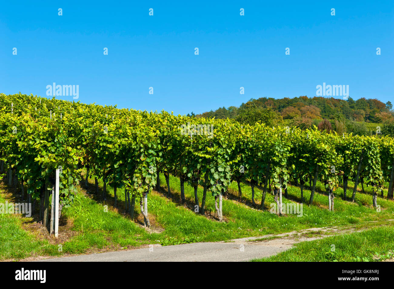 Serene farming hi-res stock photography and images - Alamy