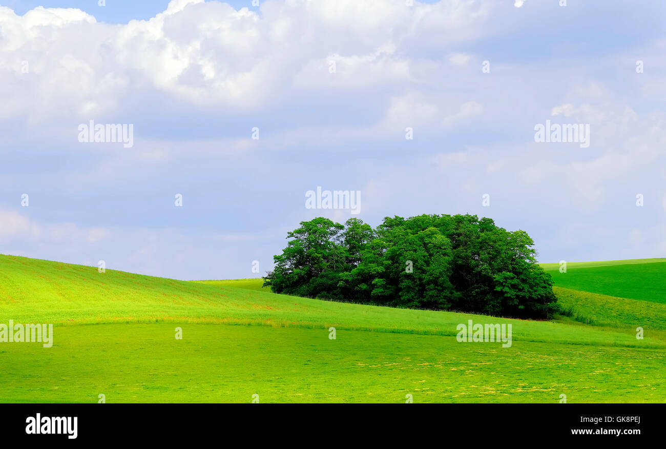 wood field country Stock Photo - Alamy