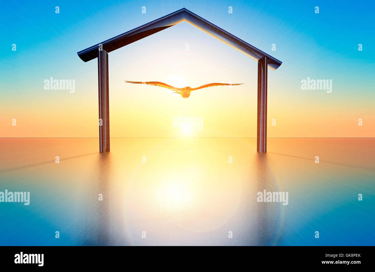 Building bird house hi-res stock photography and images - Alamy