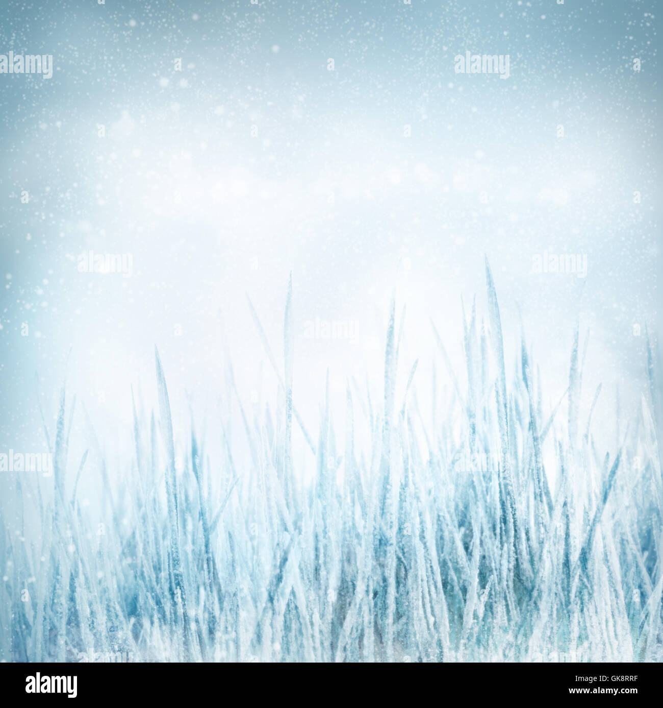 winter spring frozen Stock Photo - Alamy