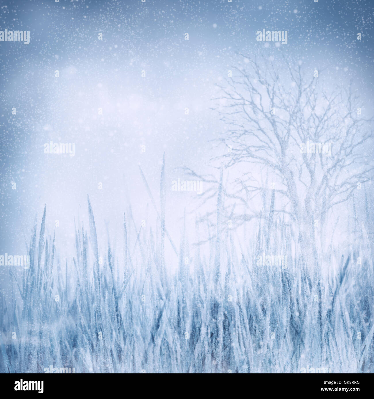 winter snow coke Stock Photo - Alamy