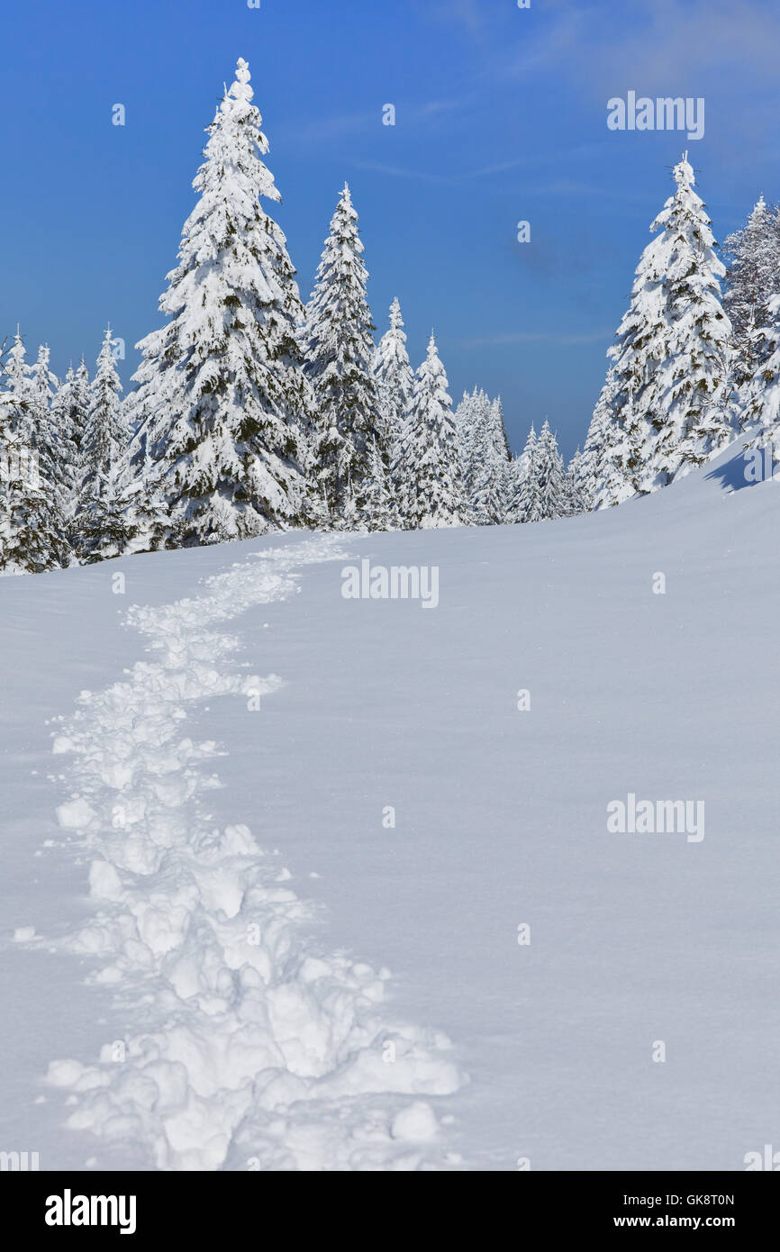 Beautiful sight scene hi-res stock photography and images - Alamy