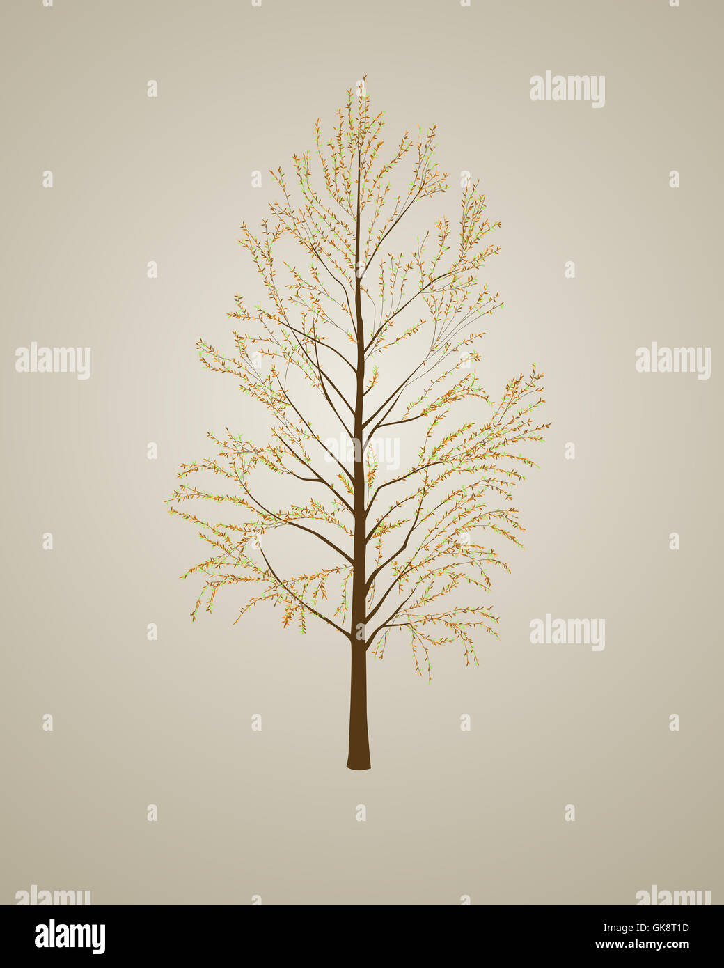 tree summer summerly Stock Photo - Alamy
