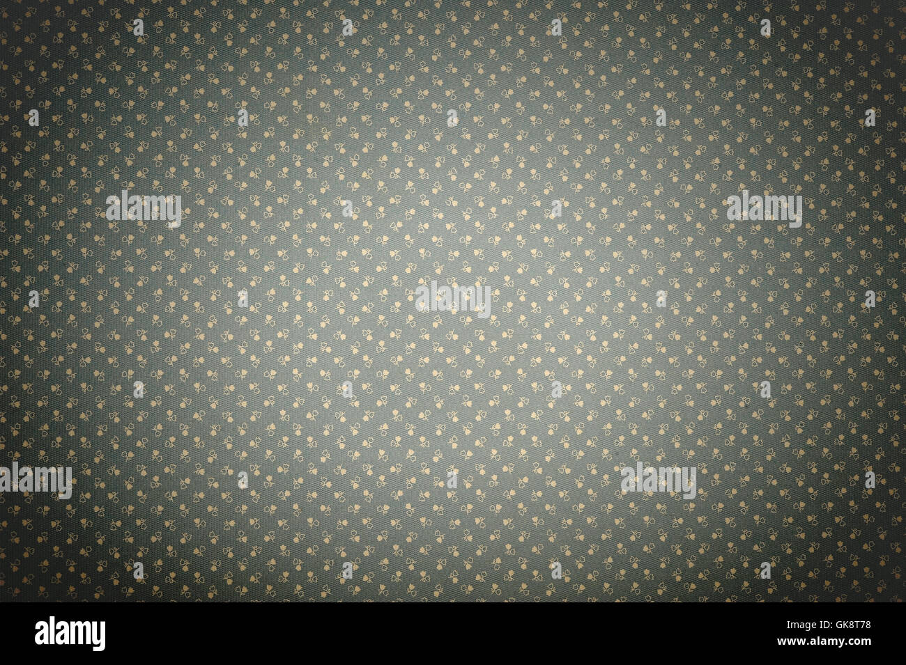 Leaf framework hi-res stock photography and images - Alamy