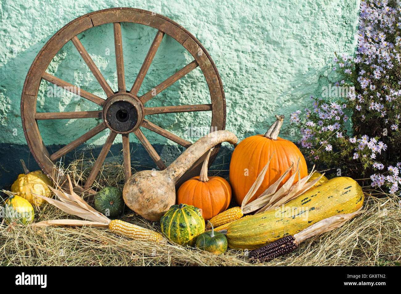 agriculture farming halloween Stock Photo - Alamy