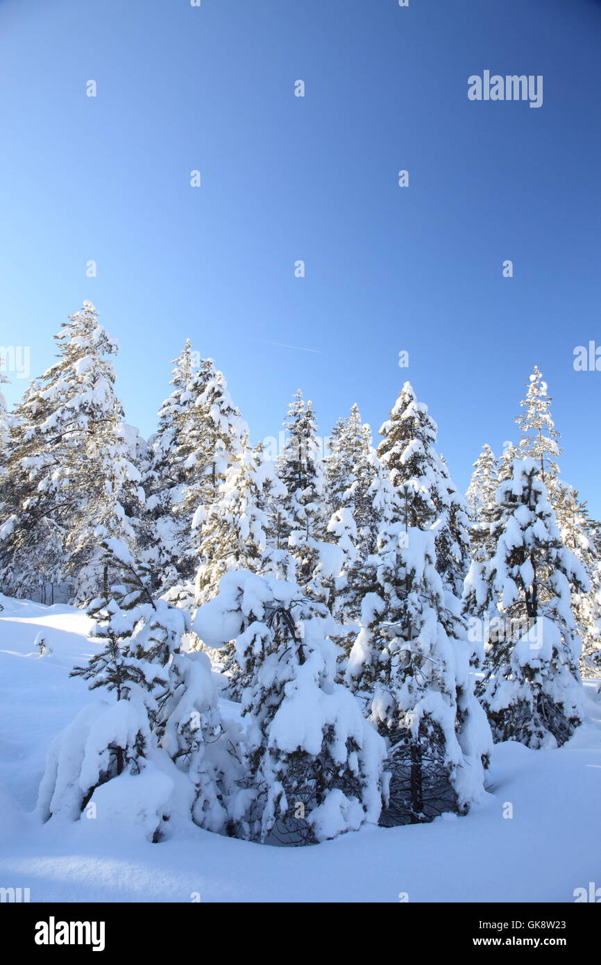Nice winter hi-res stock photography and images - Alamy