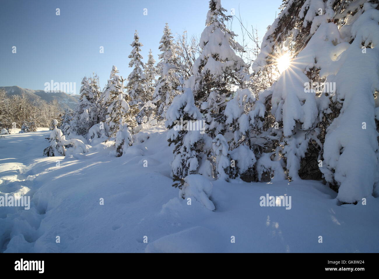 Pale wintry sun hi-res stock photography and images - Alamy