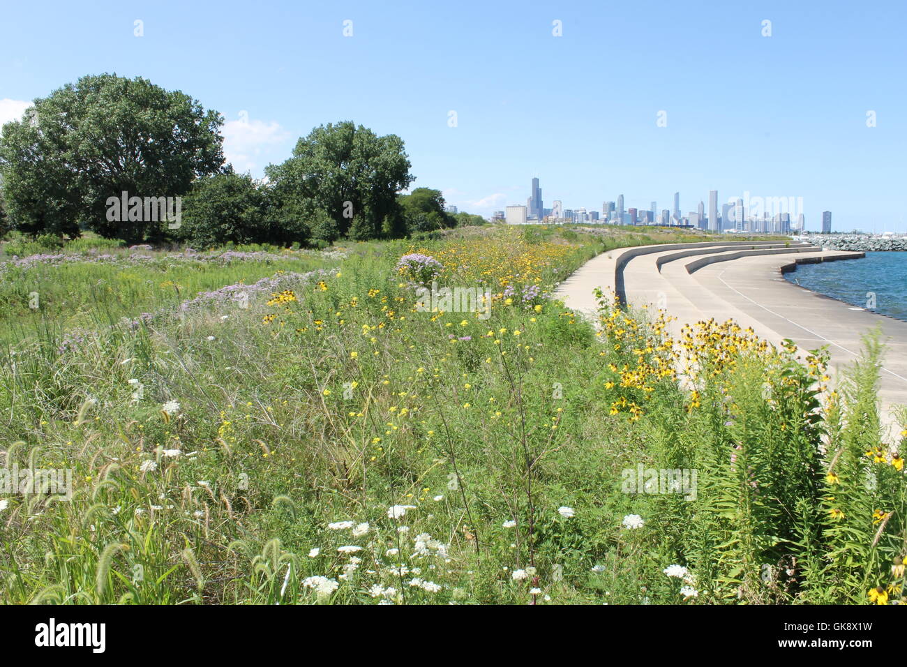 The Chicago skyline behind a restored prairie on Lake Michigan Stock ...