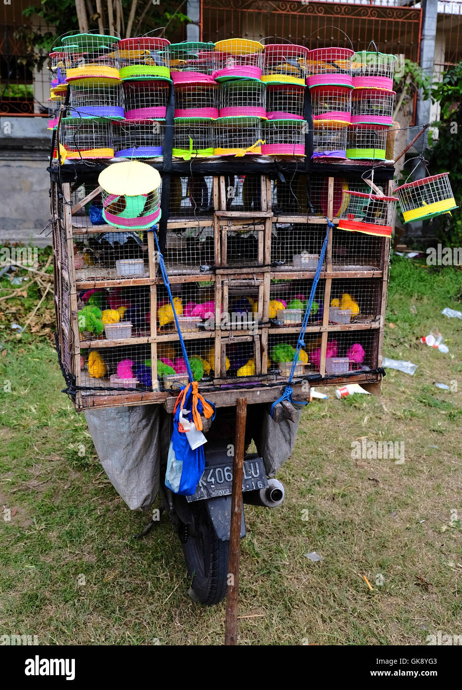 Cage of chicks hi-res stock photography and images - Alamy